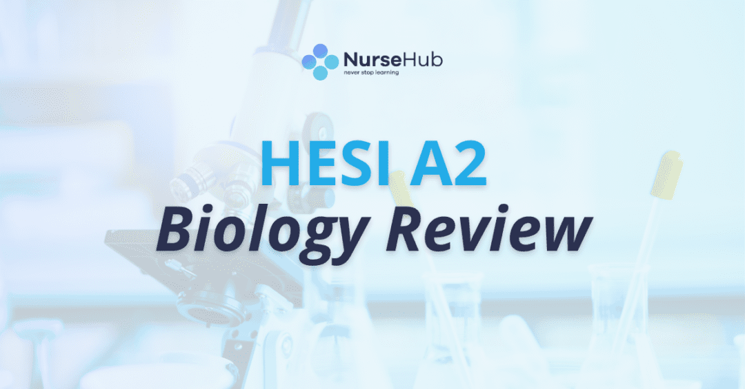 Nursing Entrance Exam Courses | NurseHub