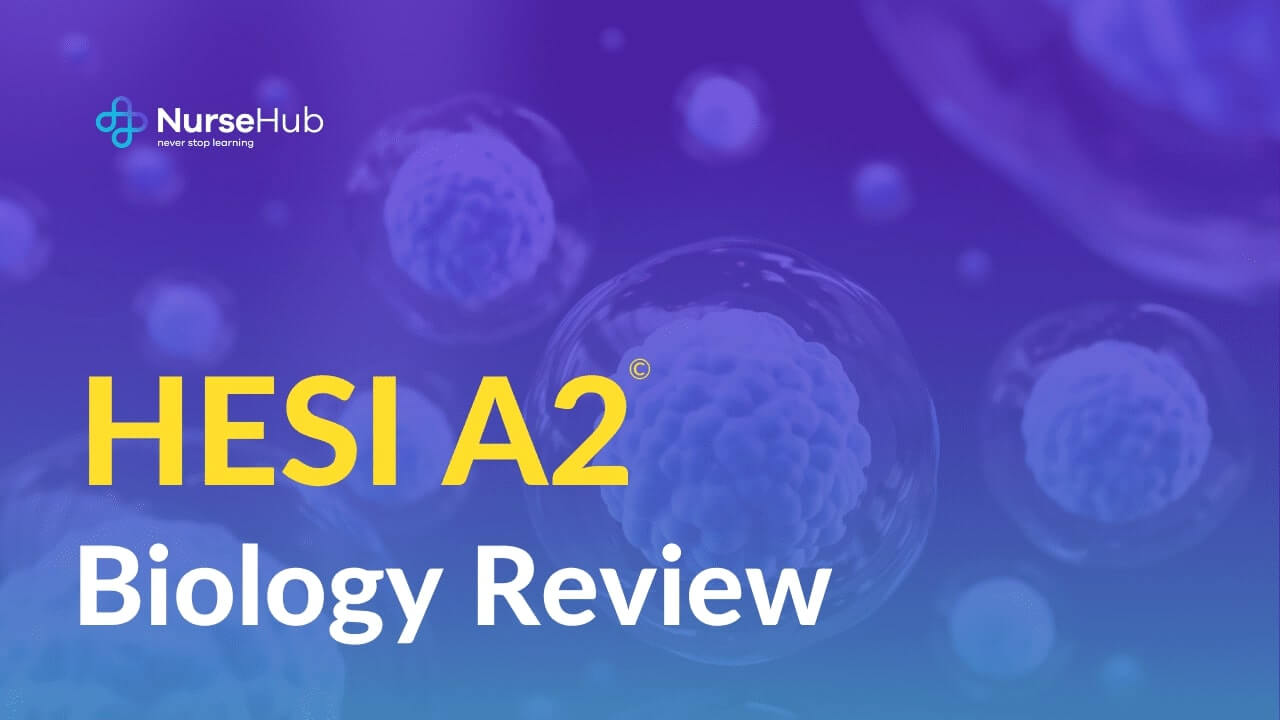 HESI A2 Online Courses | NurseHub