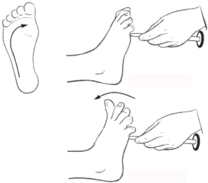 Reflexes - TEAS | NurseHub