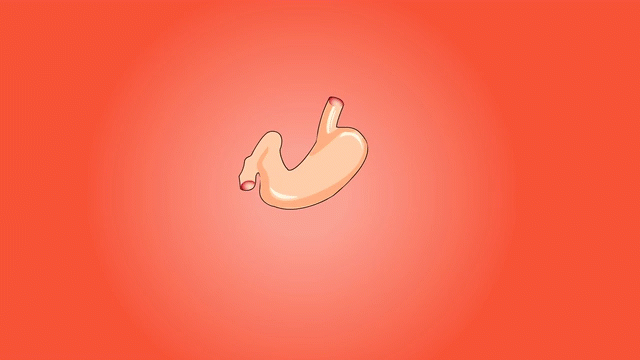 Anatomy of the Gastrointestinal (GI) System - TEAS | NurseHub