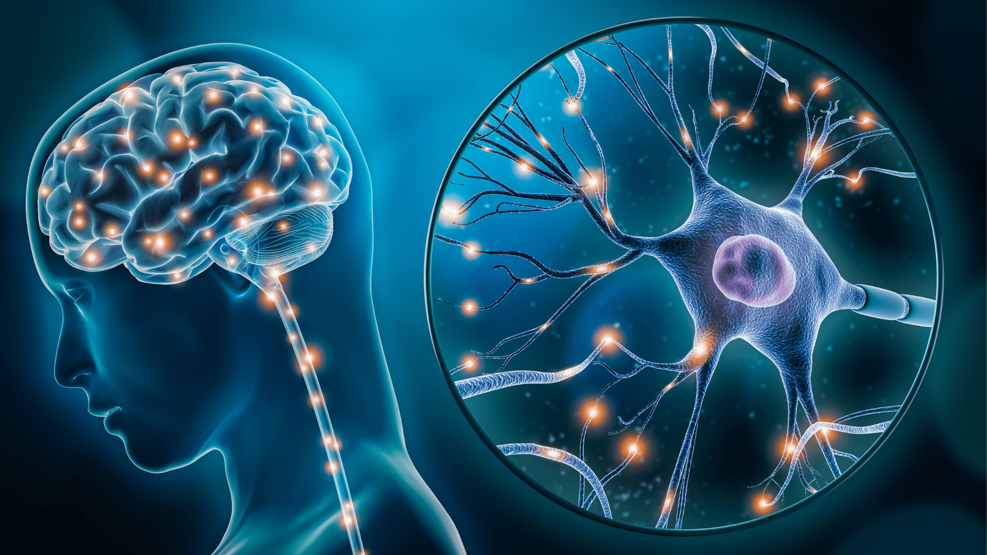 Nursing Entrance Exam Courses | NurseHub