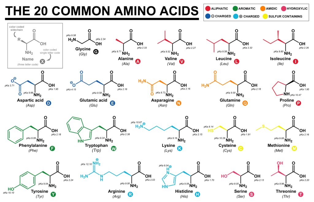 Identifying Alcohols, Hydroxyl Groups, and Hydrocarbons - TEAS | NurseHub