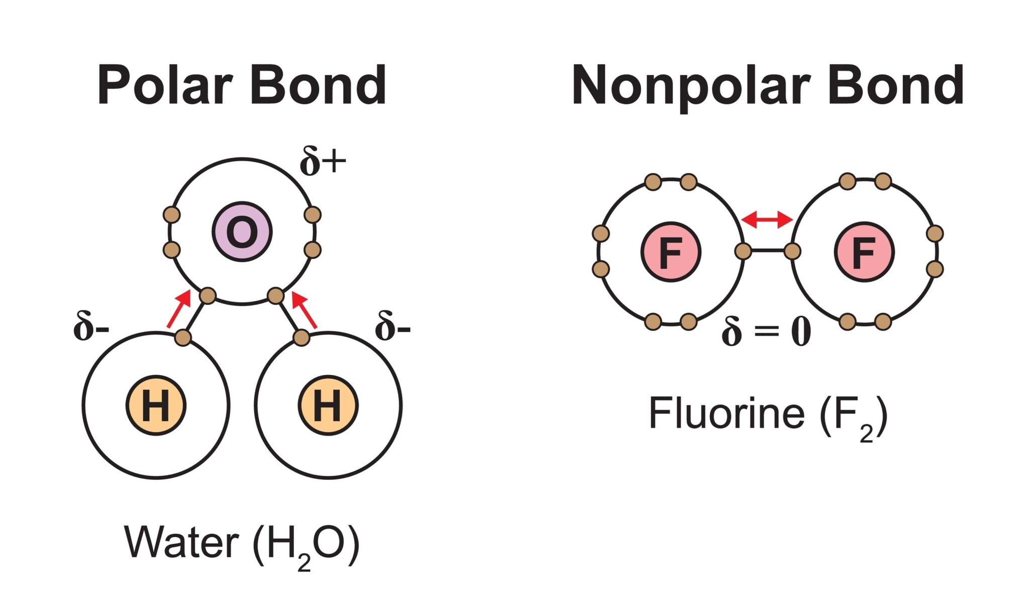 Understanding Types of Chemical Bonds - TEAS | NurseHub