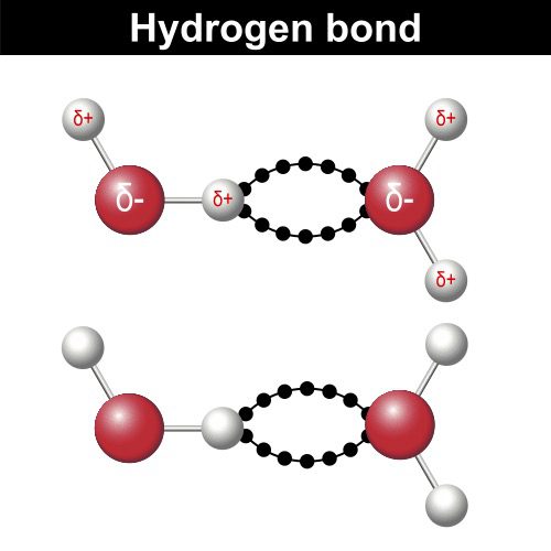 Understanding Types of Chemical Bonds - TEAS | NurseHub