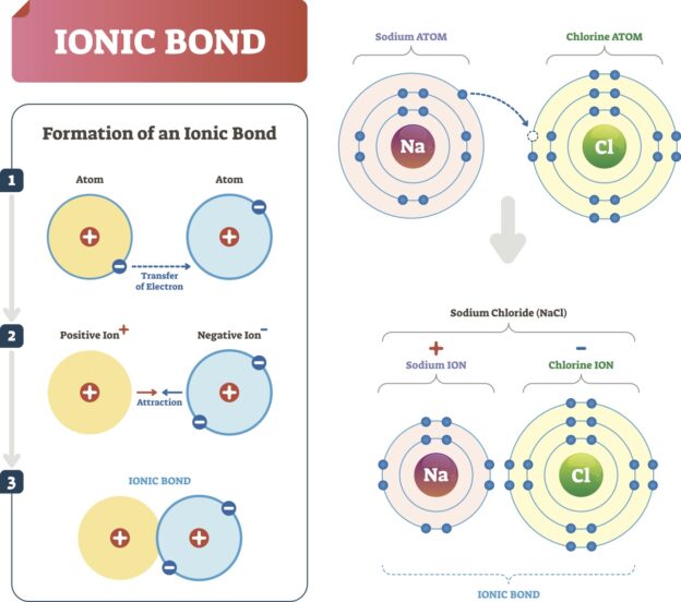 Understanding Types of Chemical Bonds - TEAS | NurseHub