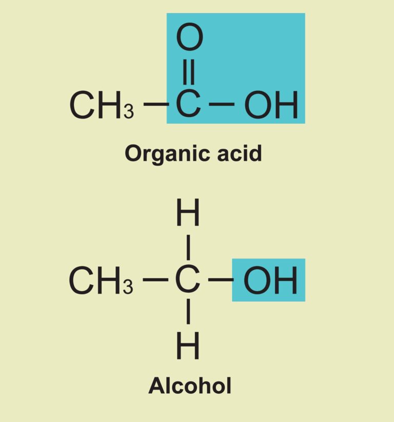 Identifying Alcohols, Hydroxyl Groups, and Hydrocarbons - TEAS | NurseHub