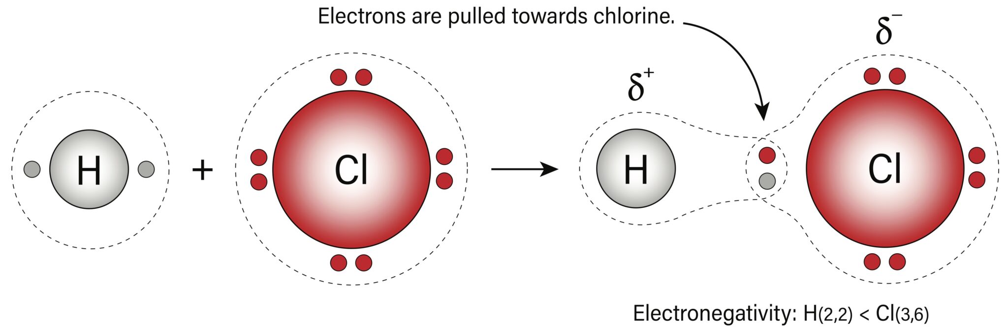 Understanding Types of Chemical Bonds - TEAS | NurseHub
