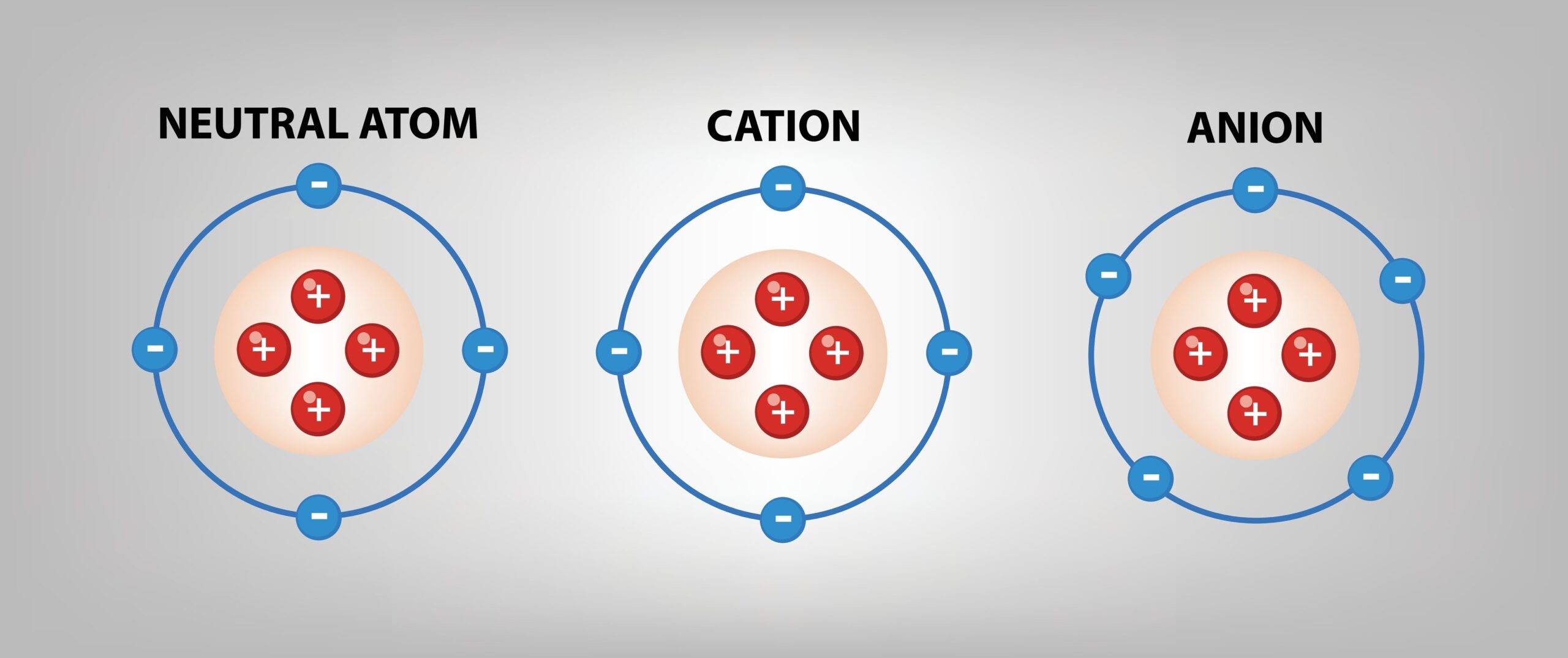 Atomic Structure Lesson - HESI | NurseHub