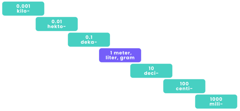 The Metric System - HESI | NurseHub
